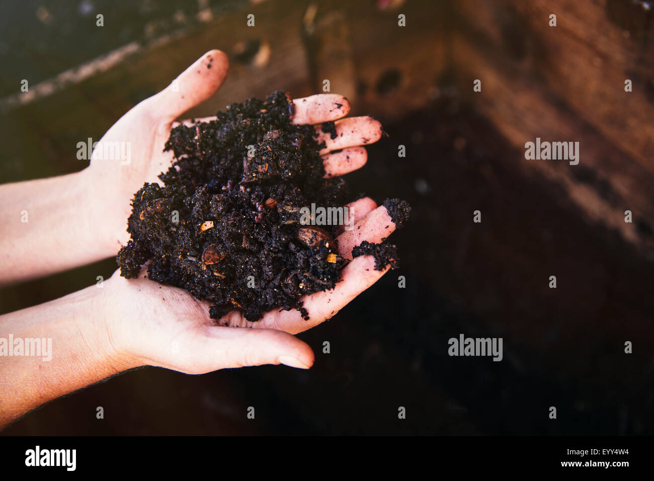 Close up of hands holding wet dirt Stock Photo - Alamy