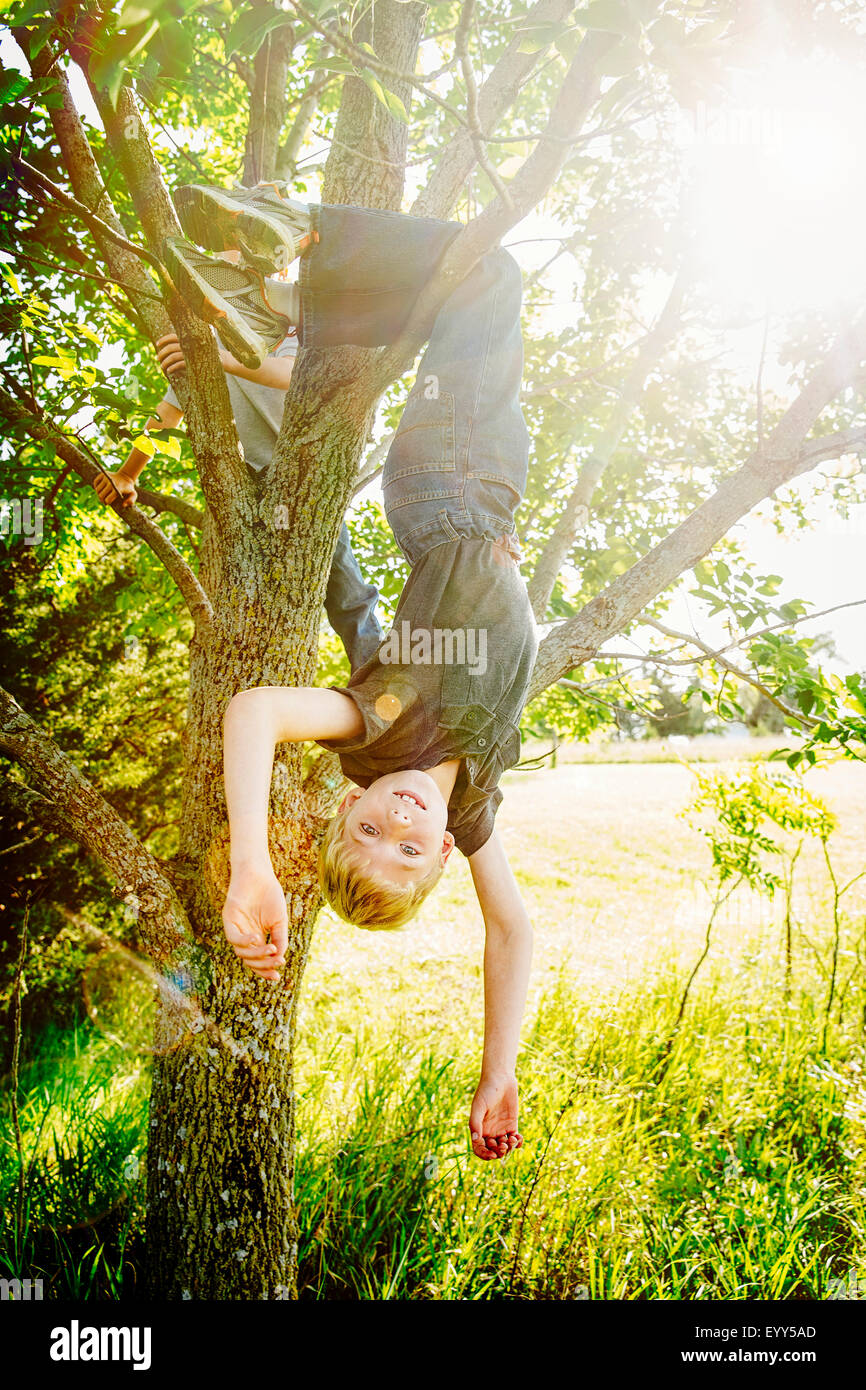 Caucasian boy hanging from tree Stock Photo - Alamy