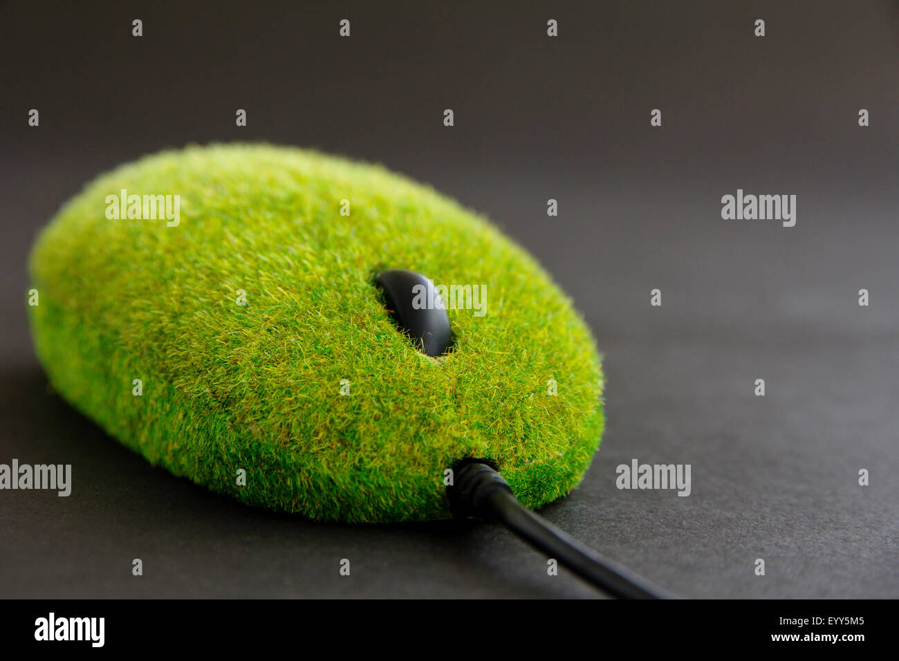 green computer mouse Stock Photo - Alamy