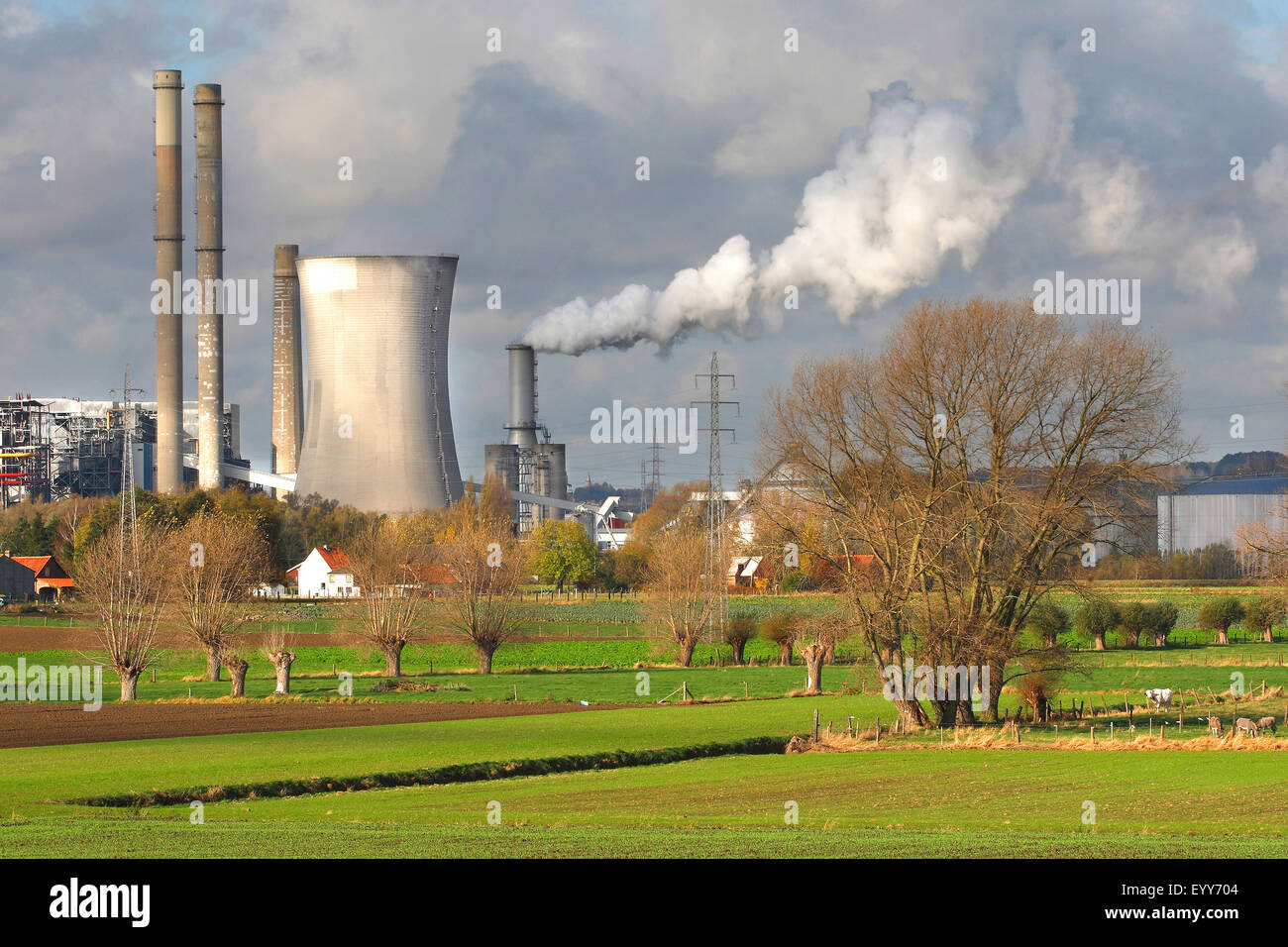 electric power plant and pastures, Belgium Stock Photo - Alamy