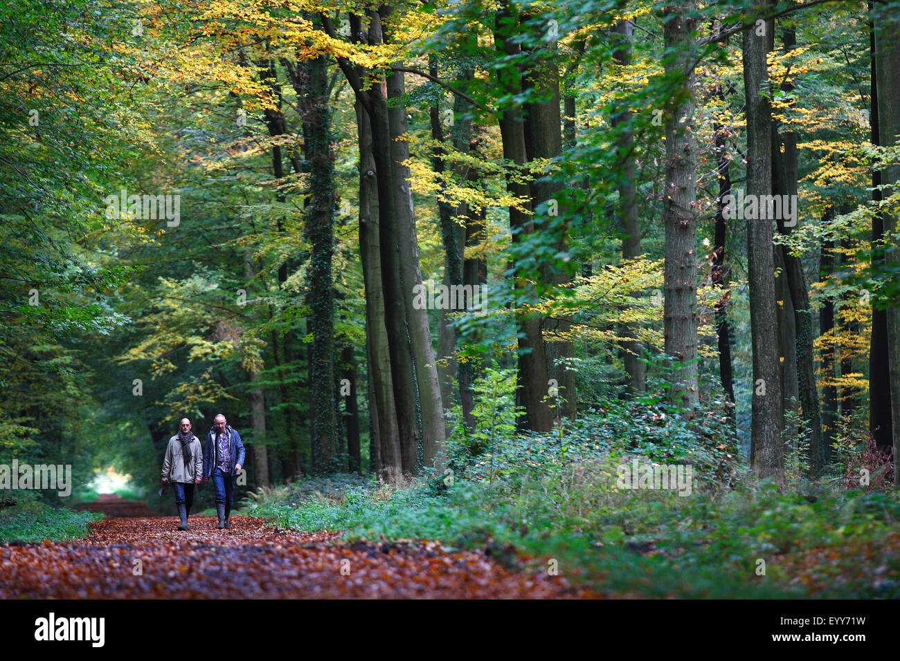 Two men walking together hi-res stock photography and images - Alamy