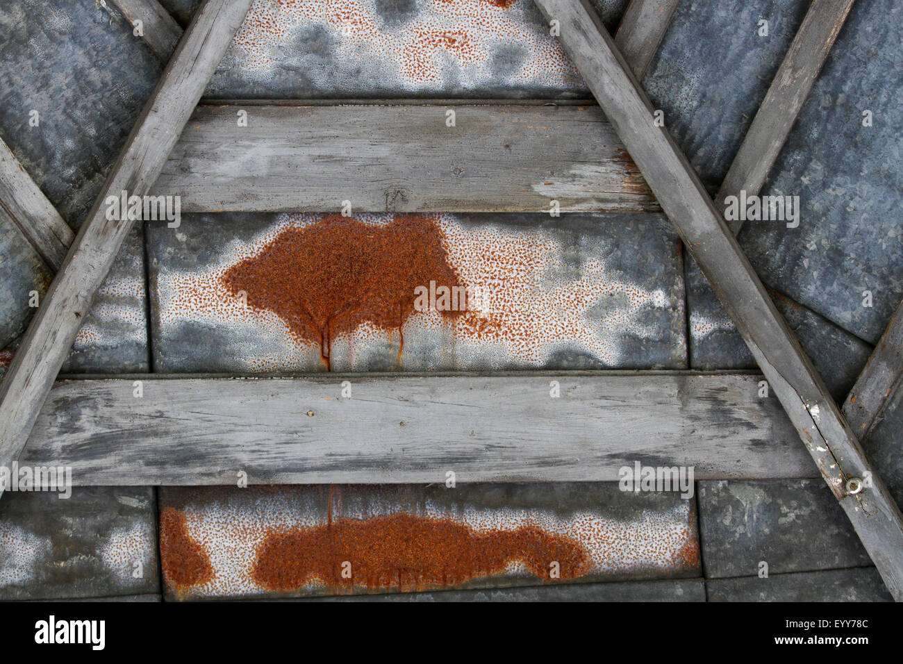 Tralist hi-res stock photography and images - Alamy