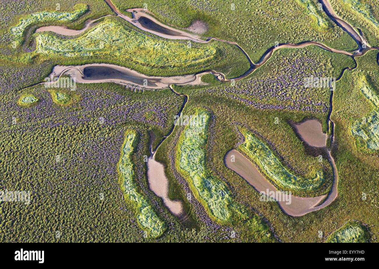 aerial view to salt meadows with tidal creeks and ponds, Belgium, Het ...
