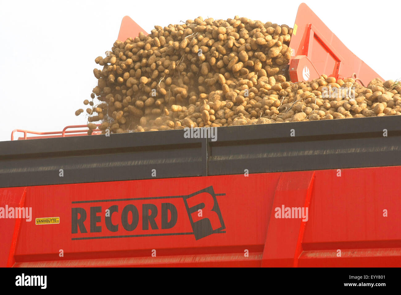 Loading vegetables hi-res stock photography and images - Alamy