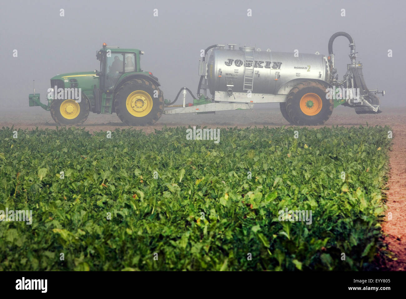 tractor spreading liquid manure on a field, Belgium Stock Photo - Alamy