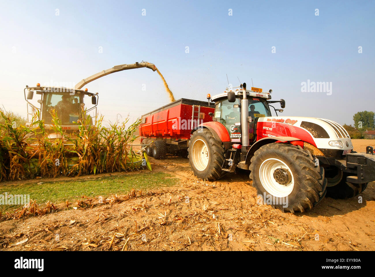 Corn harvest tractor High Resolution Stock Photography and Images - Alamy