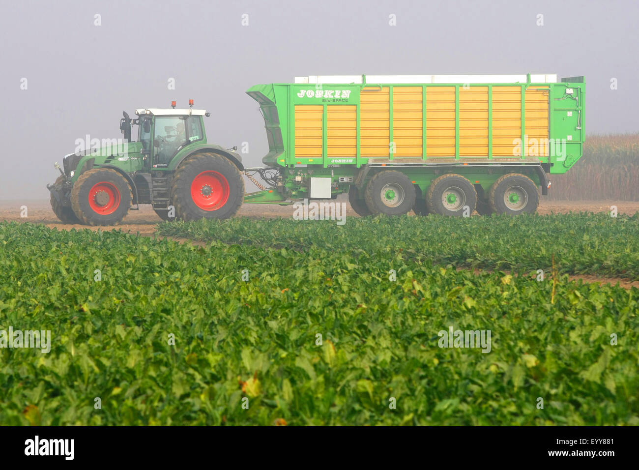 Container tractor trailer truck hi-res stock photography and images - Alamy