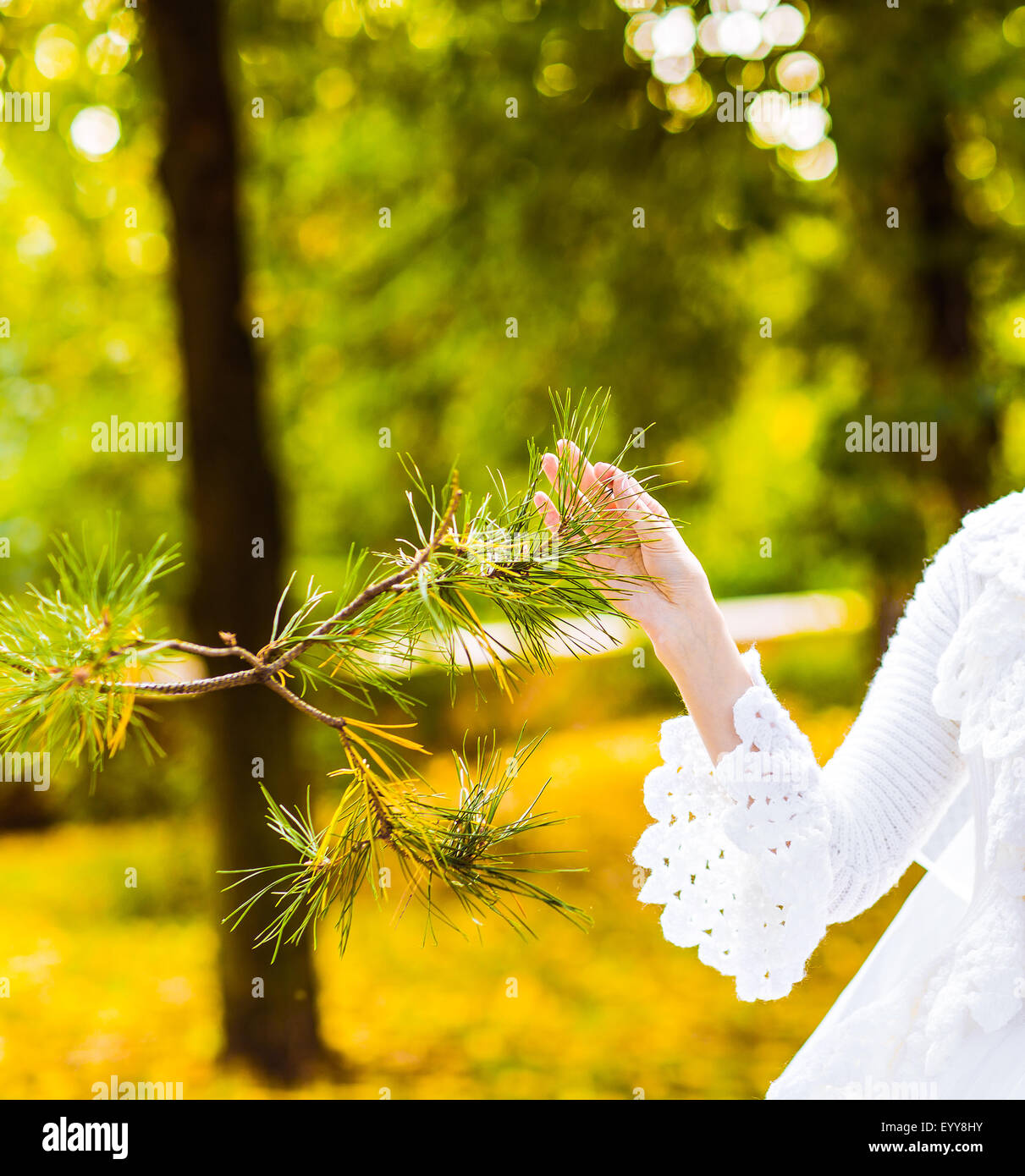 girl touching tree Stock Photo - Alamy