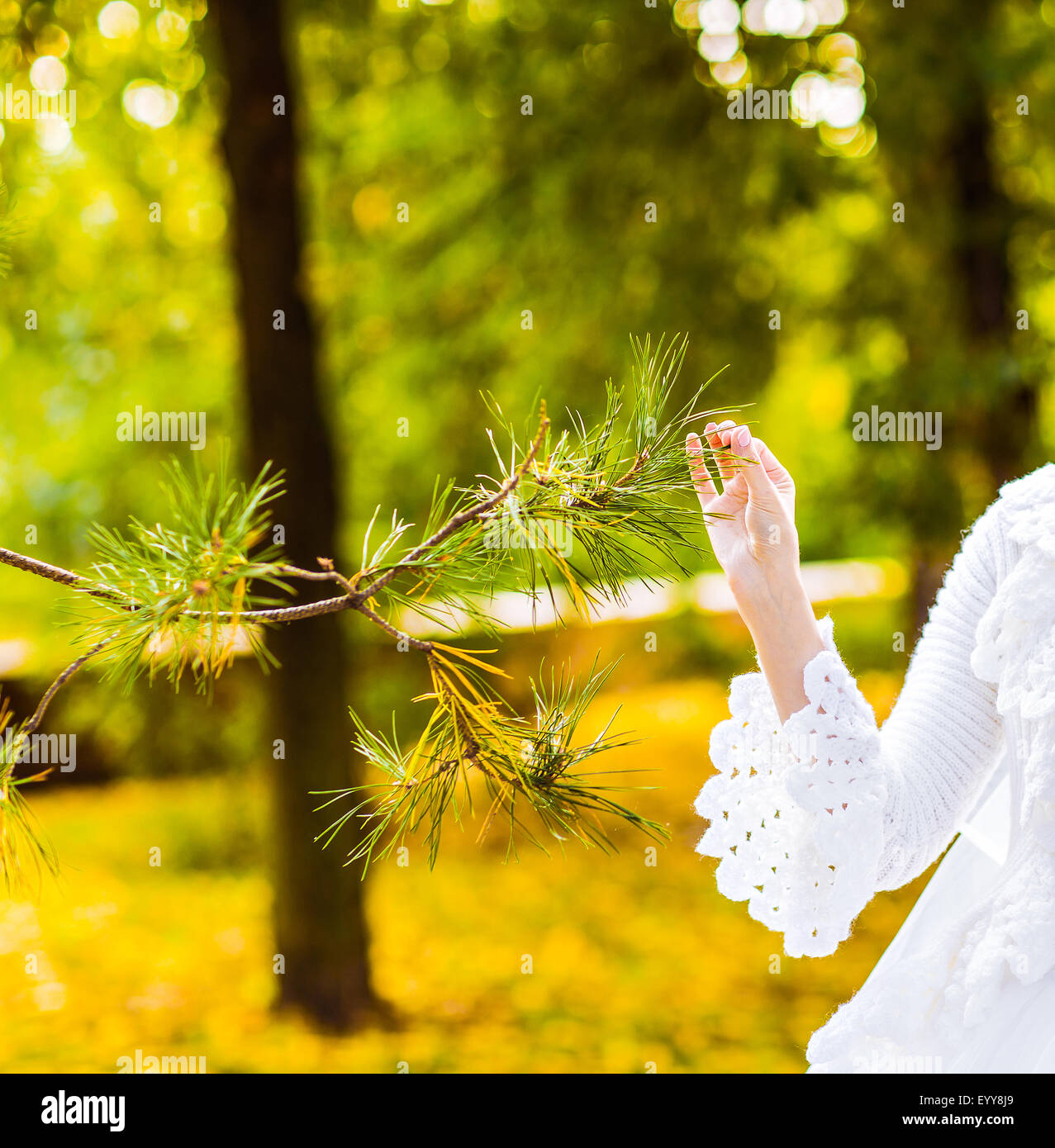 girl touching tree Stock Photo - Alamy