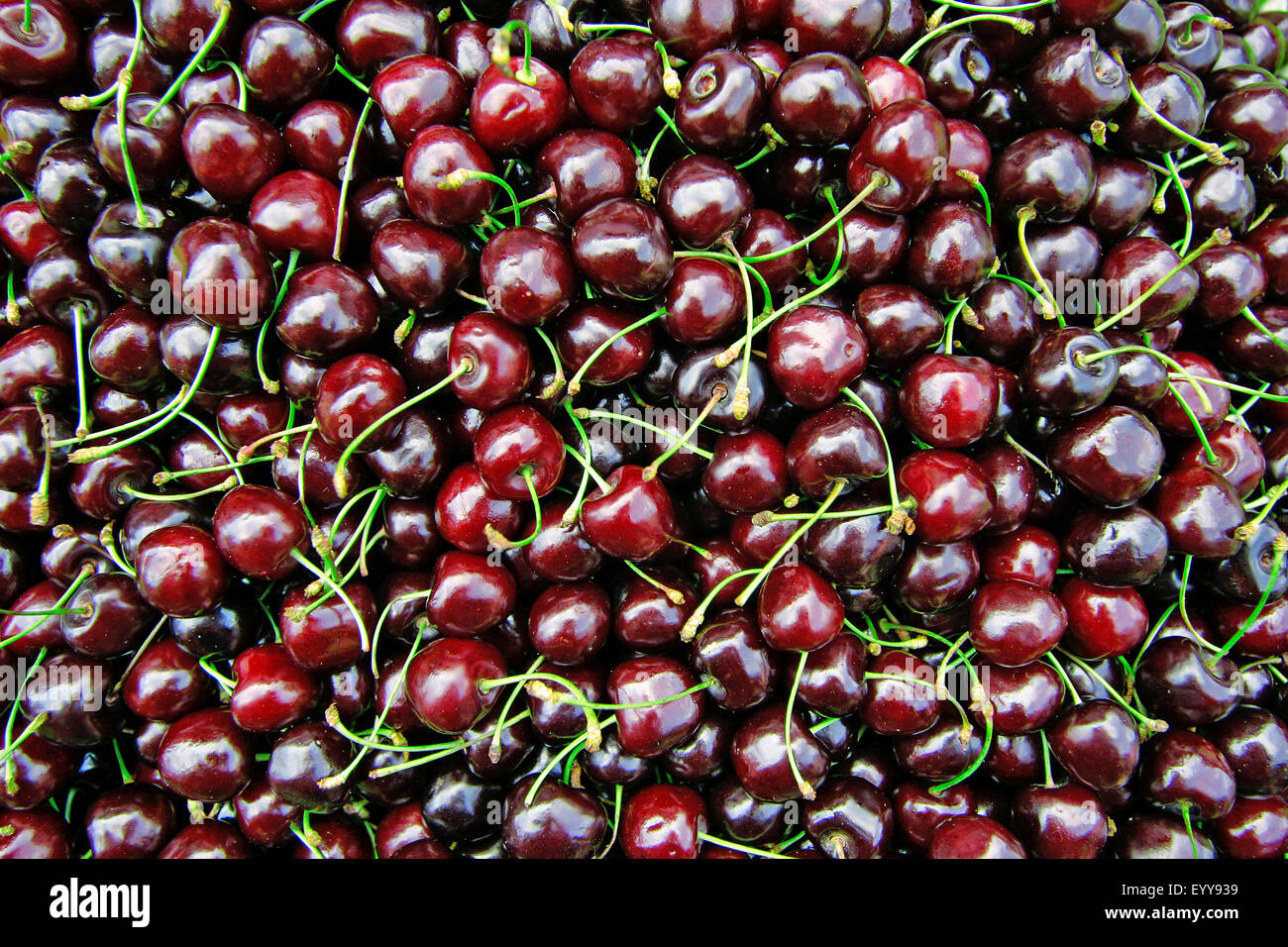 Black cherries hi-res stock photography and images - Alamy