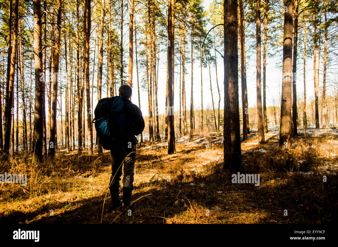 Walking into the forest hi-res stock photography and images - Alamy