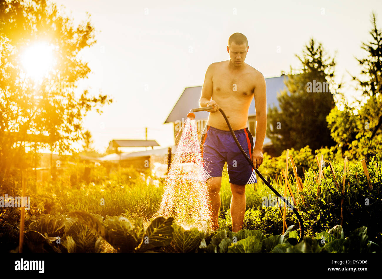 Caucasian man watering plants in backyard Stock Photo - Alamy