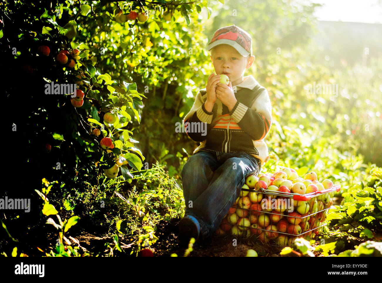Cute Asian Boy Eating Apple High Resolution Stock Photography and ...