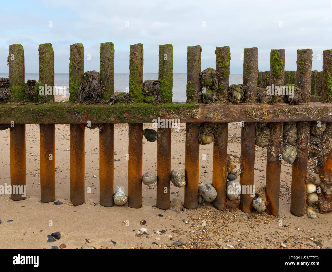 Timber groin hi-res stock photography and images - Alamy