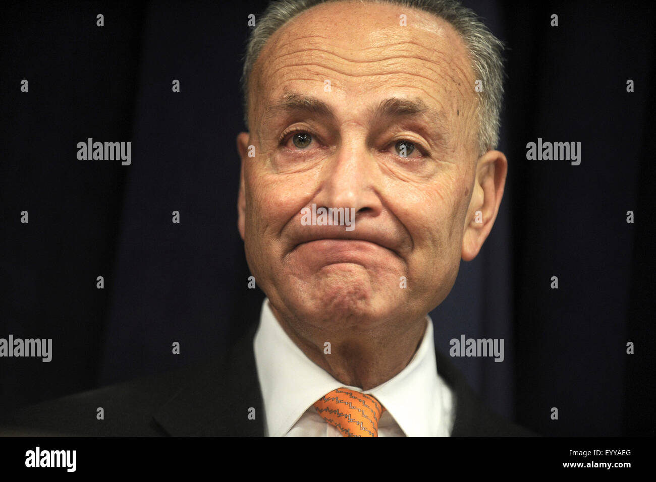 Democratic Senator Chuck Schumer and comedian Amy Schumer hold a joint ...