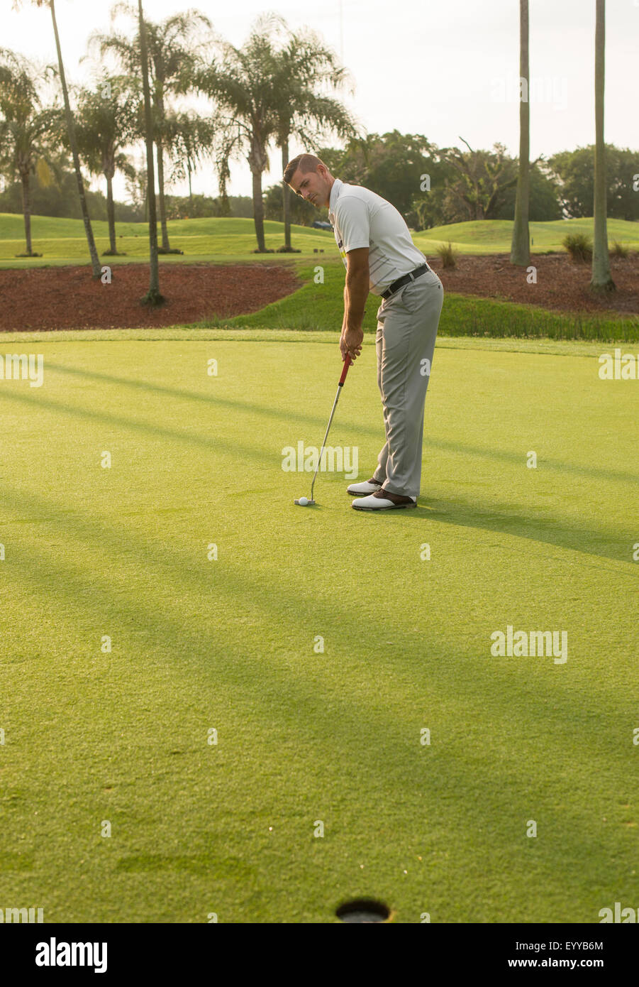 Caucasian man putting on golf course Stock Photo - Alamy
