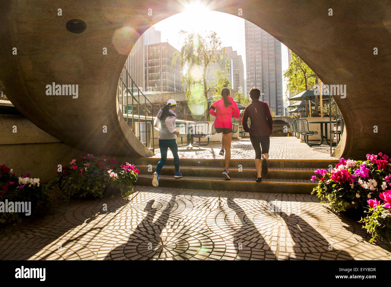 Women running together park hi-res stock photography and images - Alamy