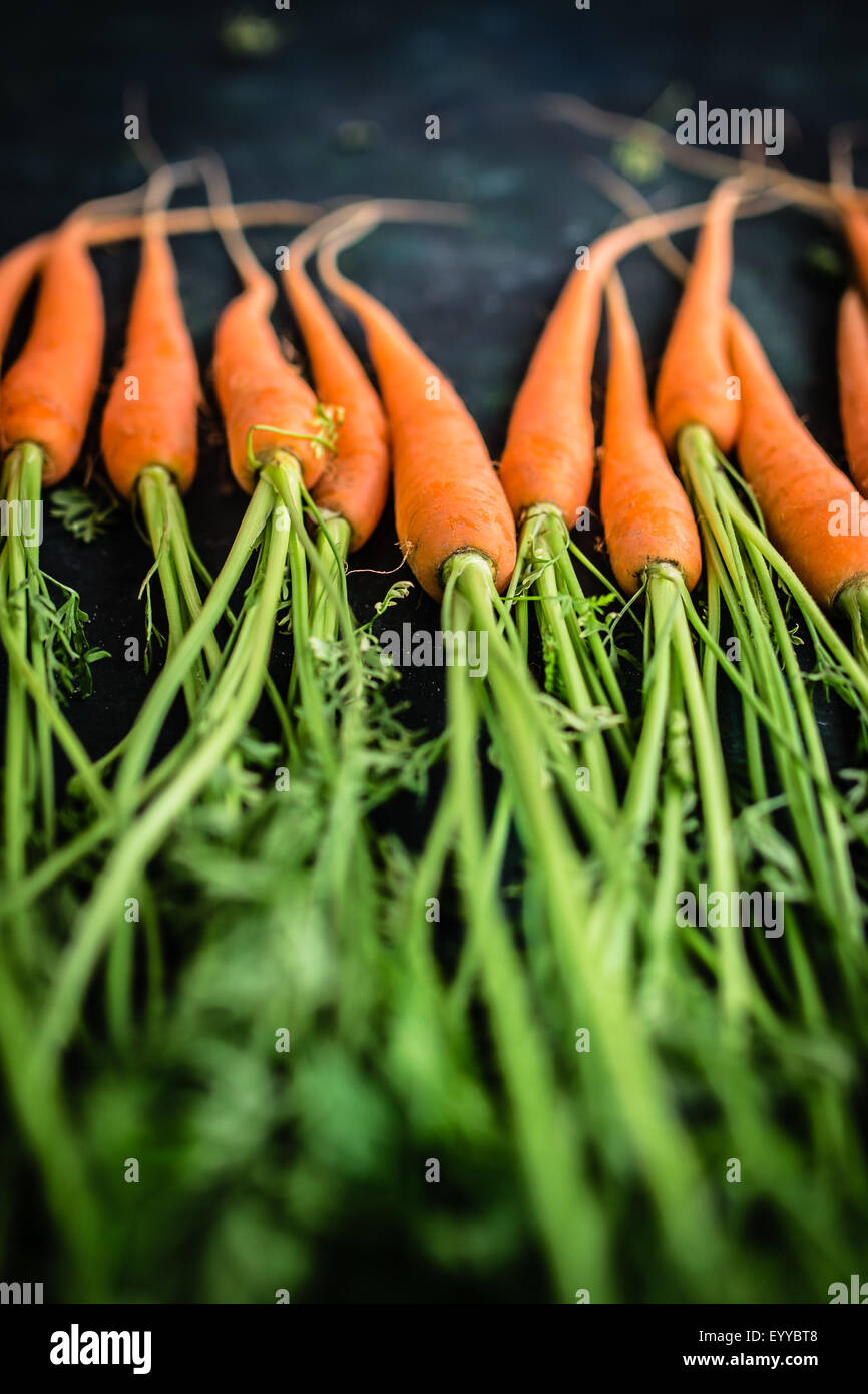 fresh carrots with green tops Stock Photo - Alamy