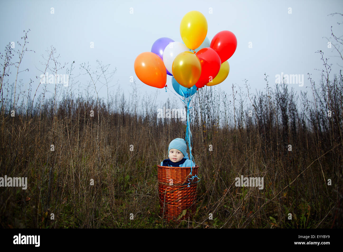 little boy wants to fly on balloons Stock Photo - Alamy little boy wants to fly on balloons Stock Photo - Alamy