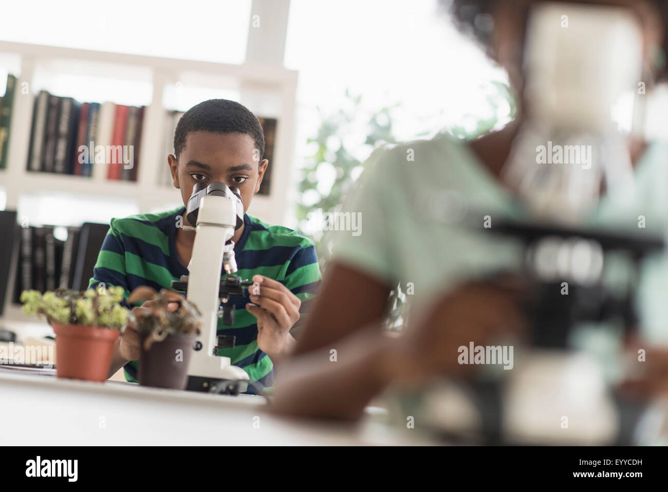 African american student science lab hi-res stock photography and ...