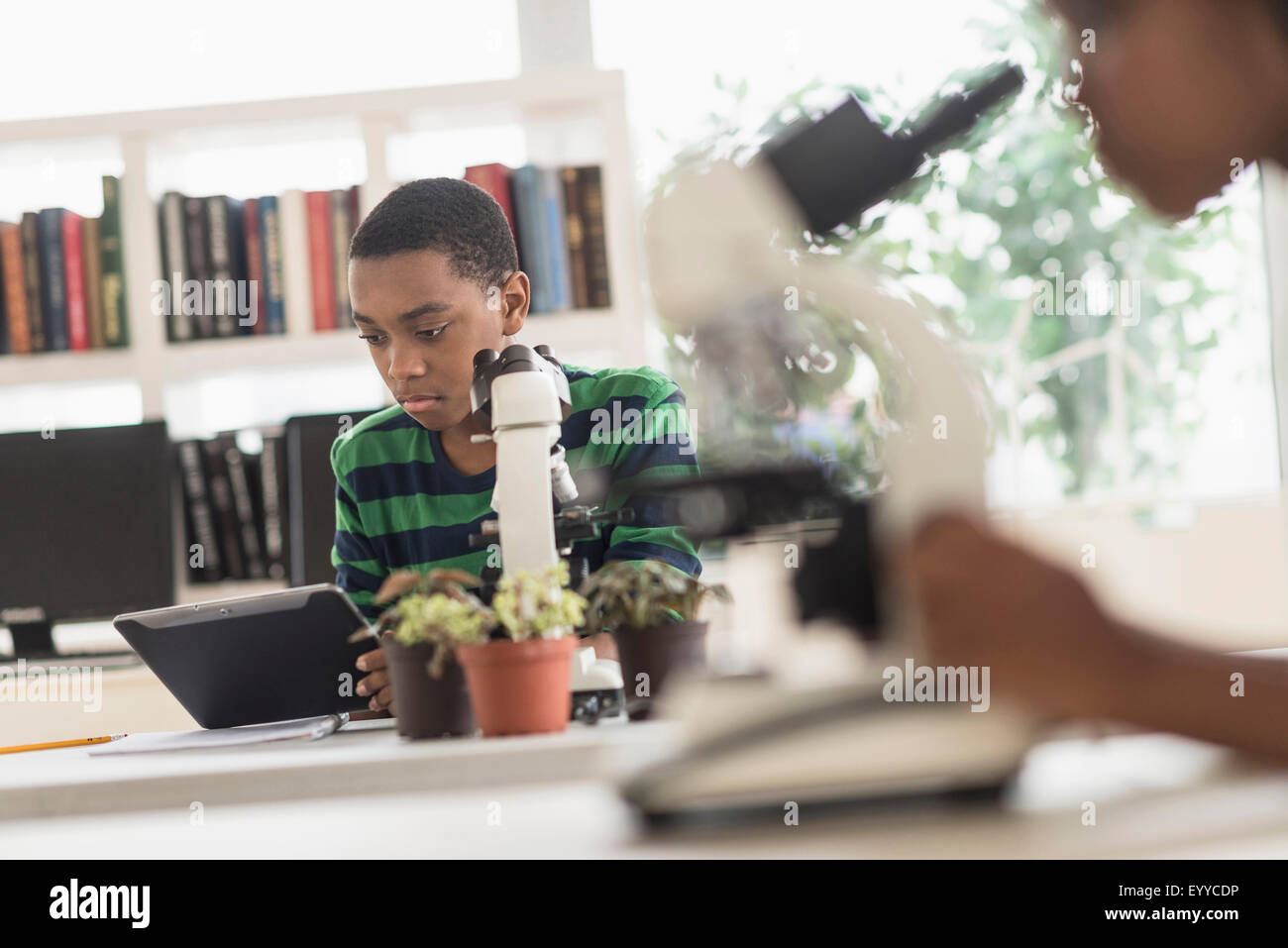 African american student science lab hi-res stock photography and ...