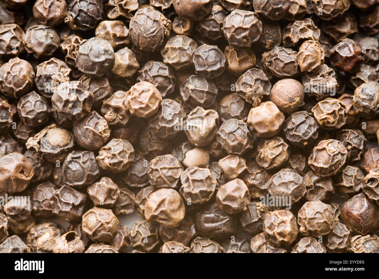black pepper (Piper nigrum), many peppercorns Stock Photo - Alamy
