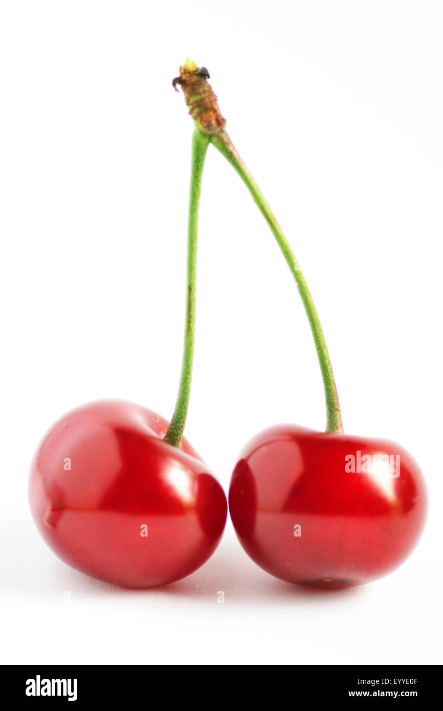 Cherry duo tree hi-res stock photography and images - Alamy