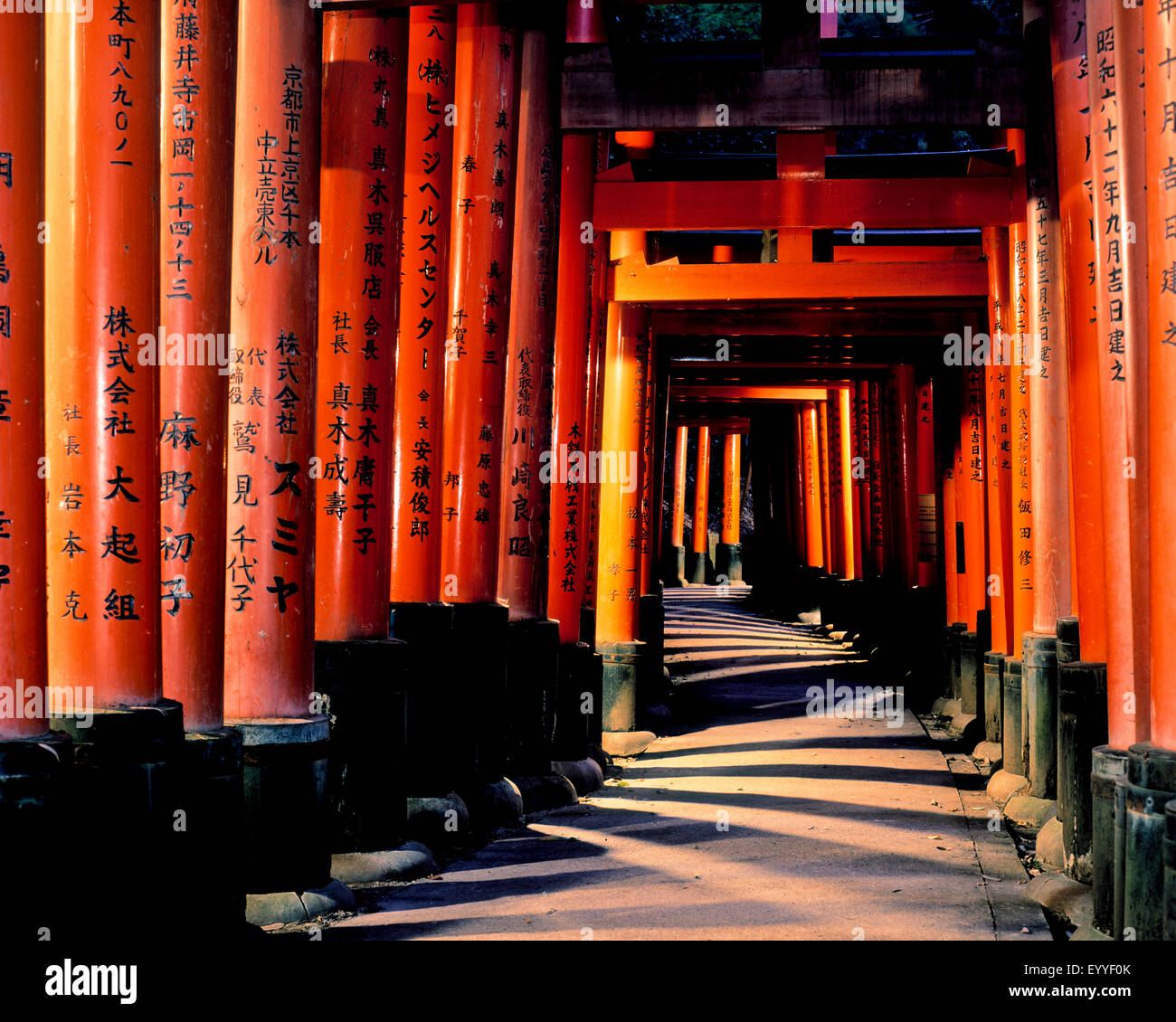 Hallway through traditional shrine at dusk, Kyoto, Honshu Island, Japan ...