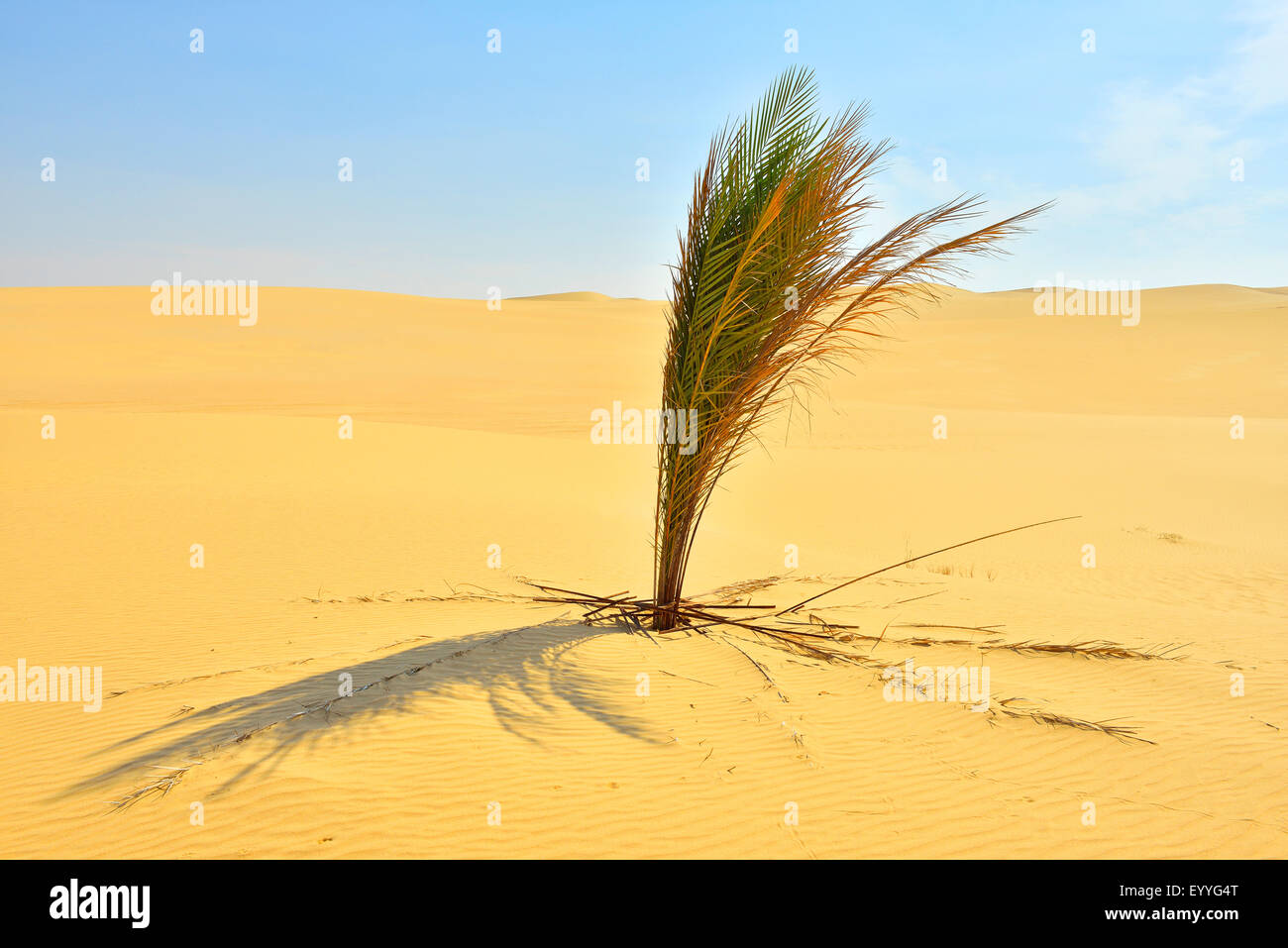 Sinking Sands High Resolution Stock Photography and Images - Alamy