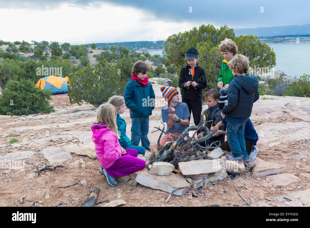Children building campfire on field trip Stock Photo - Alamy