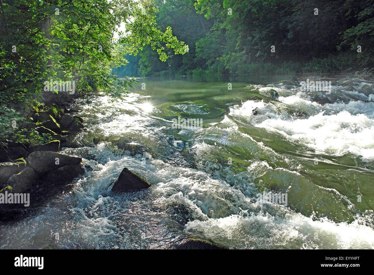 influx of the Brenz into the Danube, Germany, Bavaria Stock Photo - Alamy