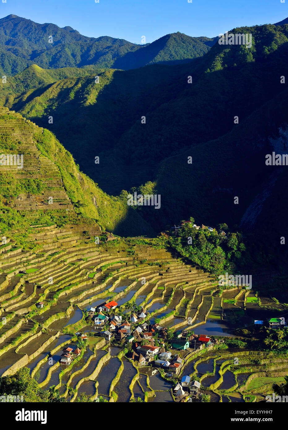 village in the shaped like an amphitheatre Batad rice terraces ...