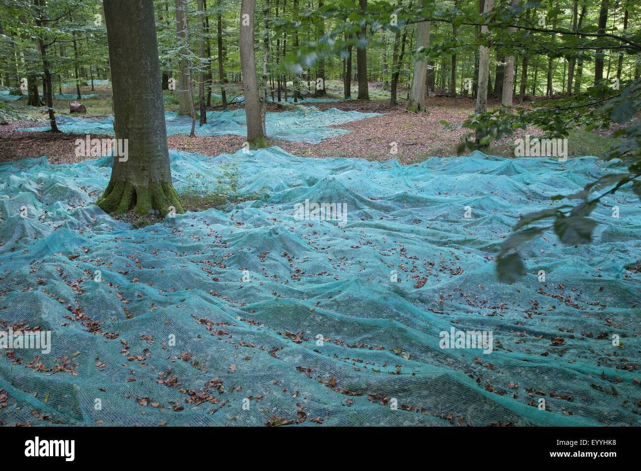 Seed collection hi-res stock photography and images - Alamy