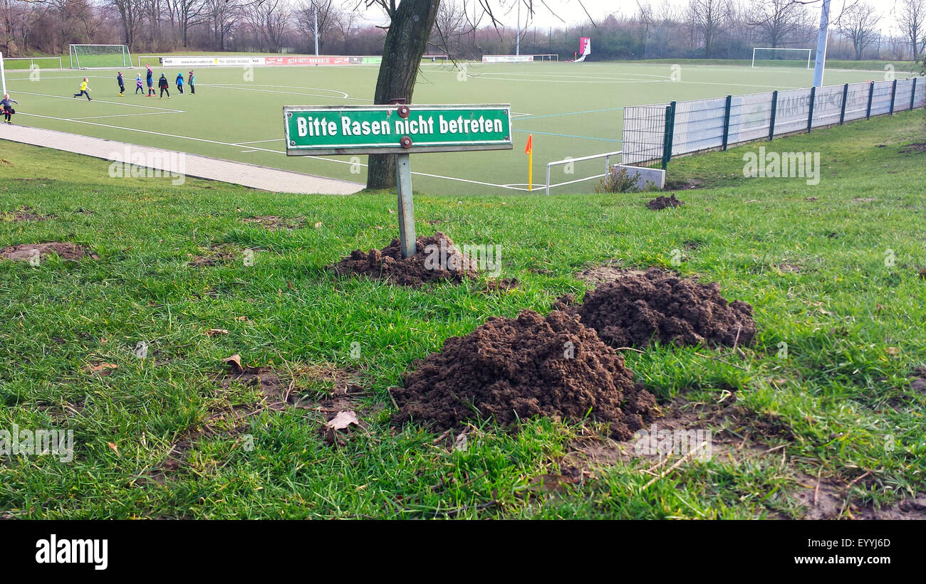 Soccer football keep of the pitch sign hi-res stock photography and ...