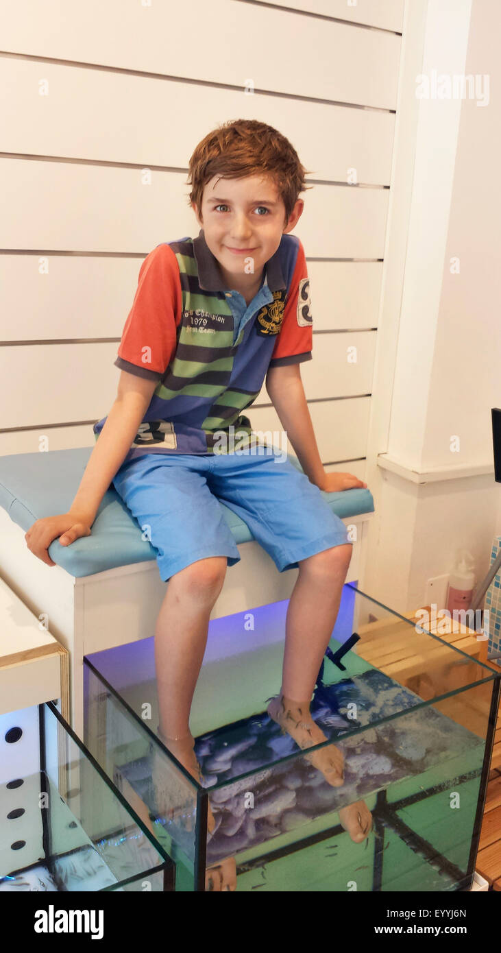 Doctor fish, Nibble fish, Kangal fish (Garra rufa), boy dipping the ...