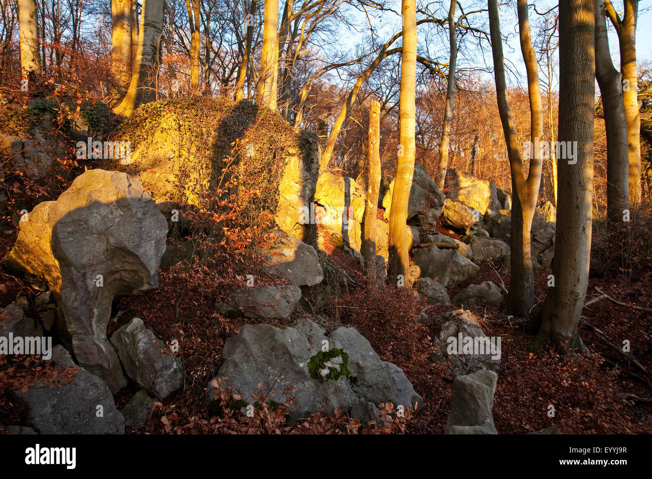 sea of cliffs 'Felsenmeer Hemer', Germany, North Rhine-Westphalia ...