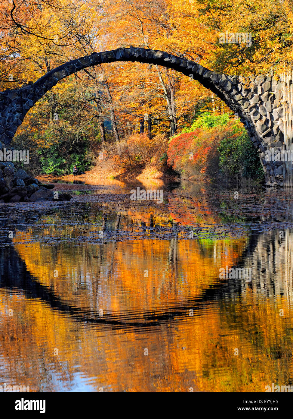 Rackotz Bridge at the Rhododendron Park Kromlau, Germany, Saxony ...
