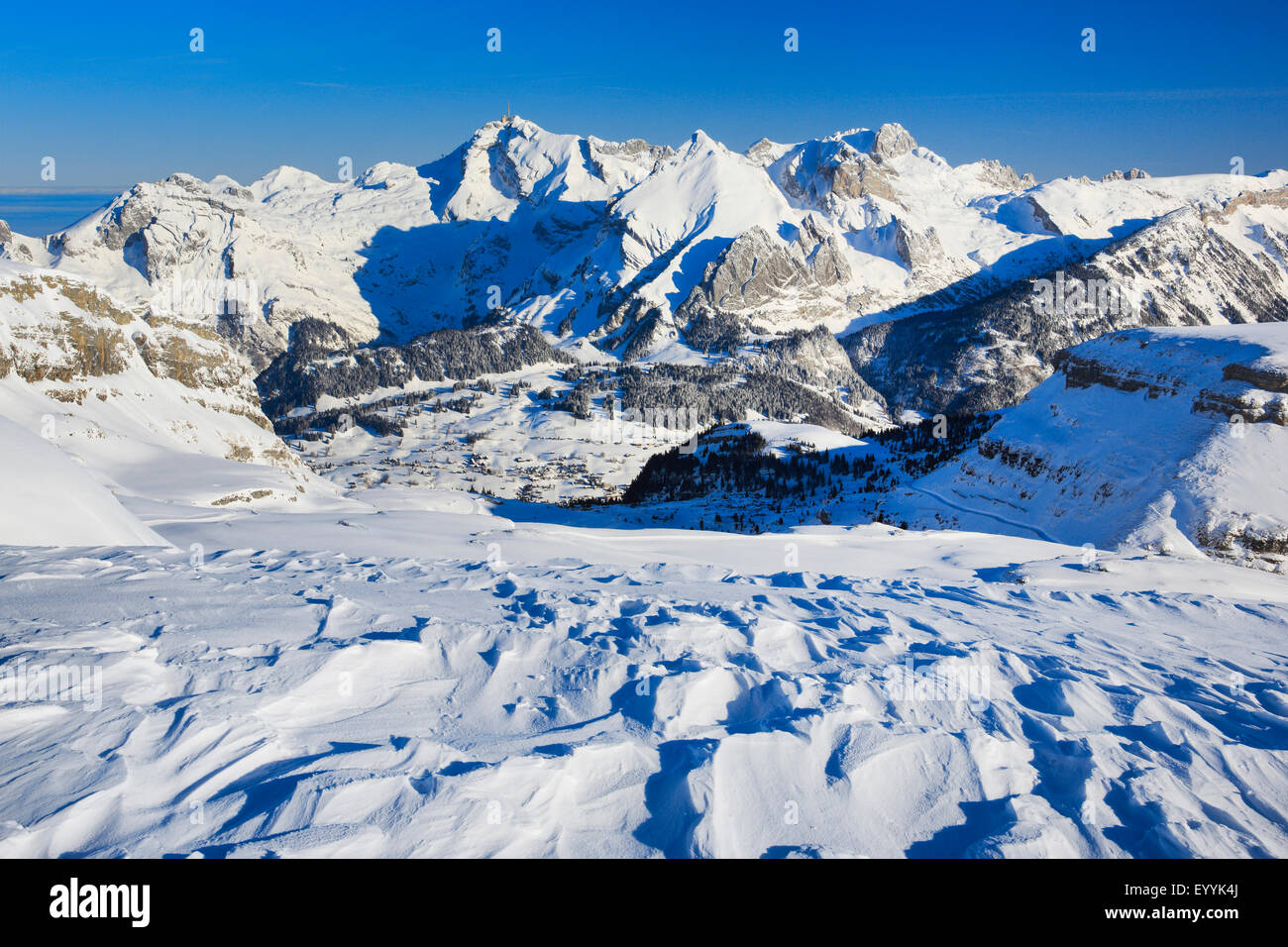 Altmann hi-res stock photography and images - Alamy