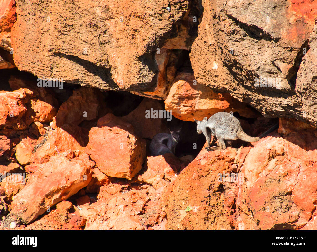 Two rocks western australia hi-res stock photography and images - Alamy