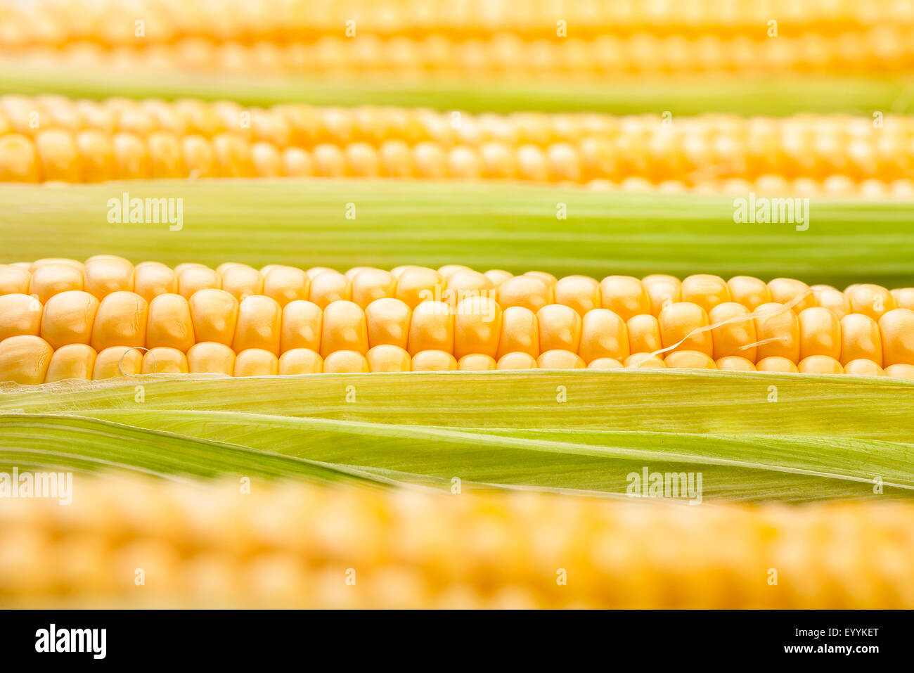 Closeup maize hi-res stock photography and images - Alamy