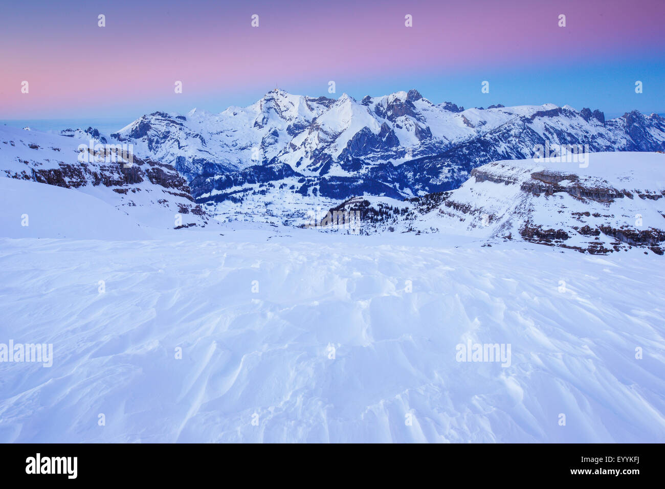 Altmann hi-res stock photography and images - Alamy