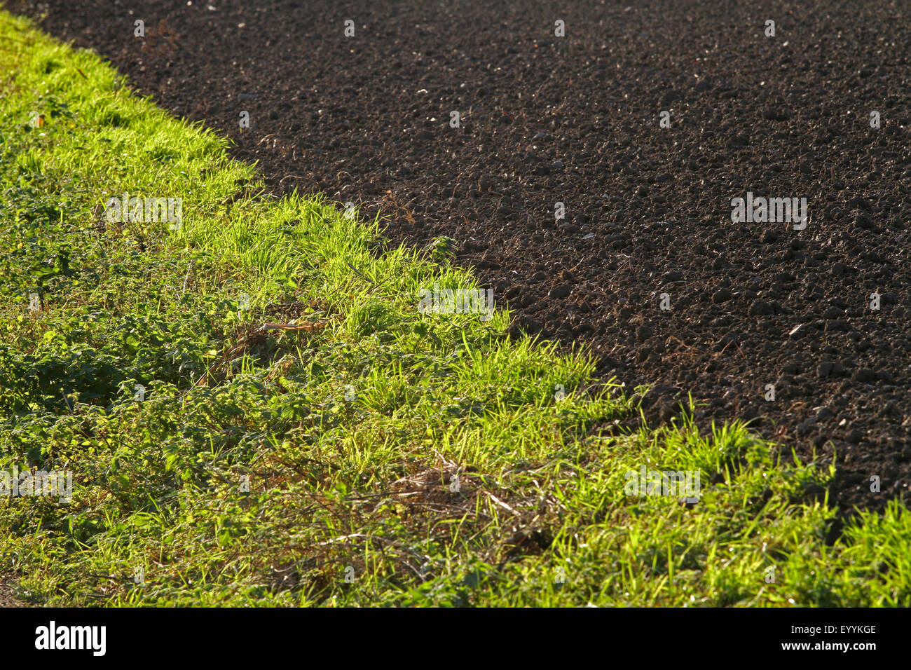 Lawn Boundary Boundaries High Resolution Stock Photography and Images ...