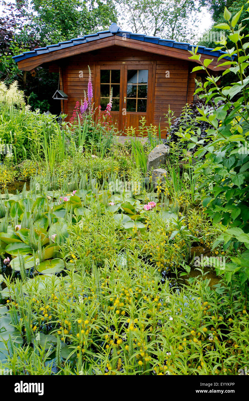 Overgrown Garden High Resolution Stock Photography and Images - Alamy