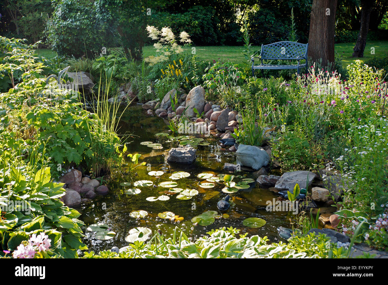 garden pond, Germany Stock Photo - Alamy