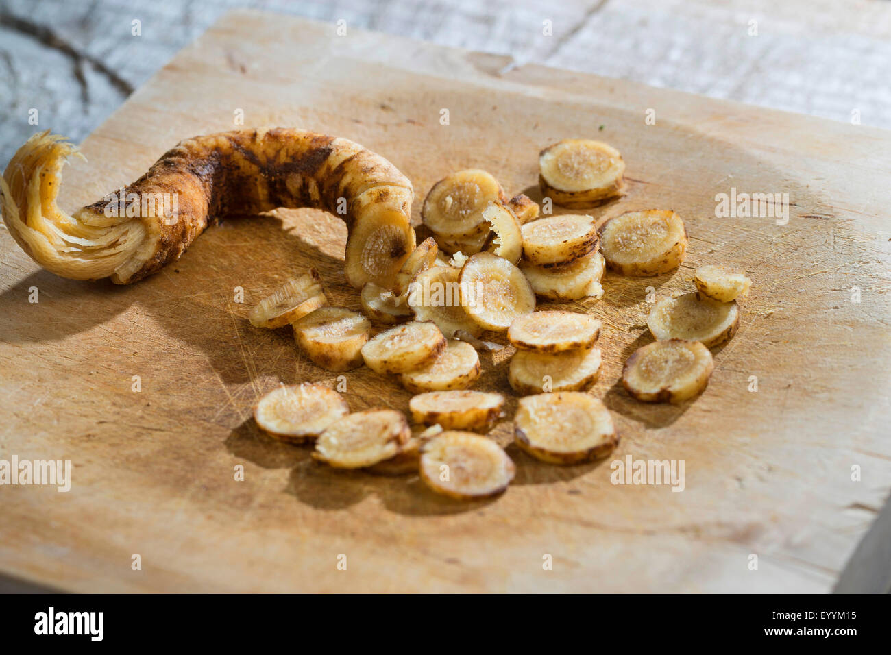 Bouncingbet, Bouncing-bet, Soapwort (Saponaria officinalis), sliced ...