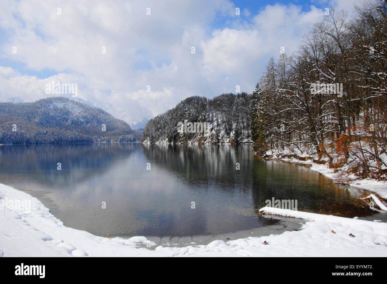 Alpsee and mountains of the Northern limestone Alps near Schwangau ...