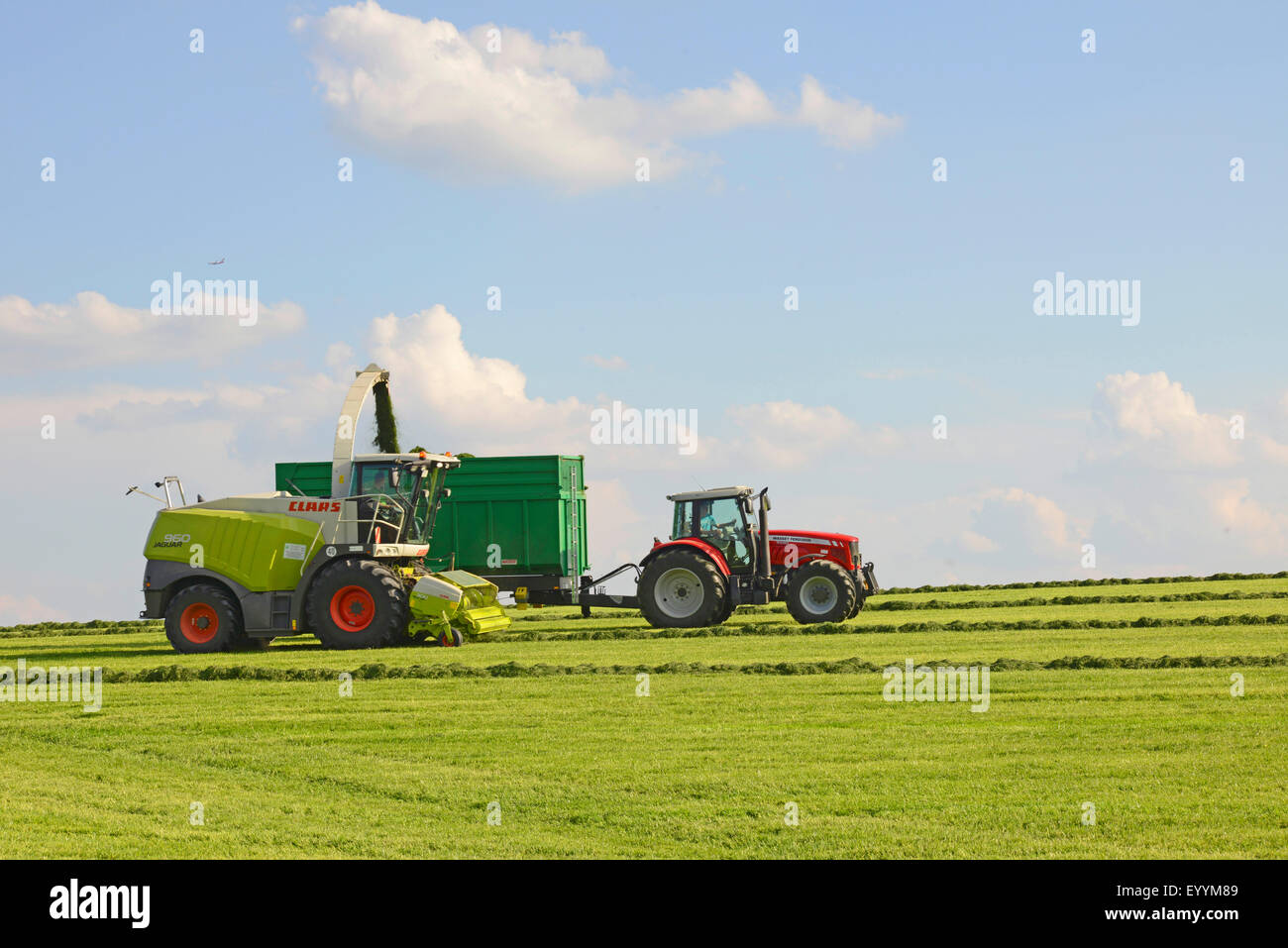 Forage harvester hi-res stock photography and images - Alamy