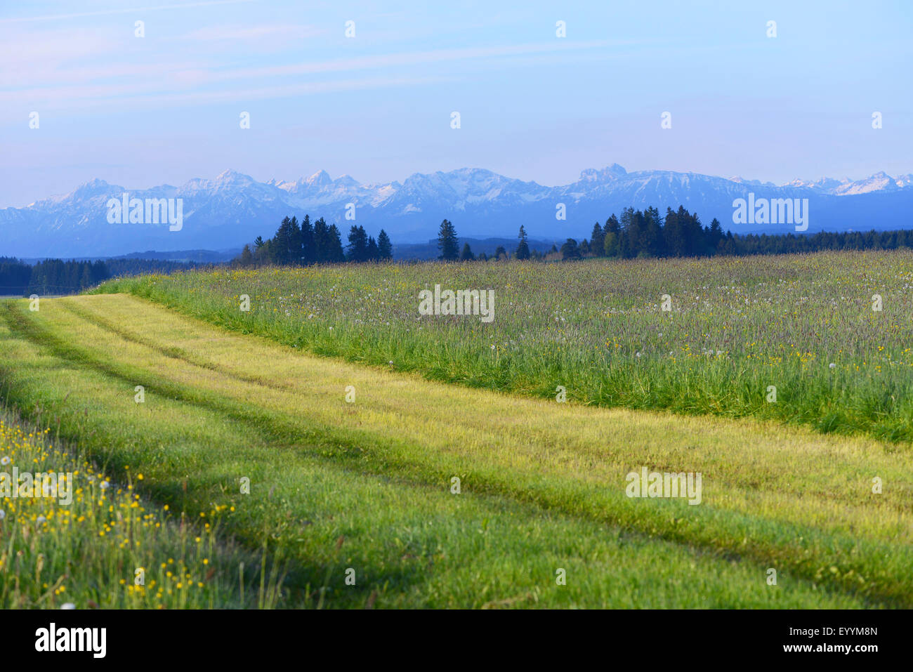 Springtime in allgaeu alps hi-res stock photography and images - Alamy
