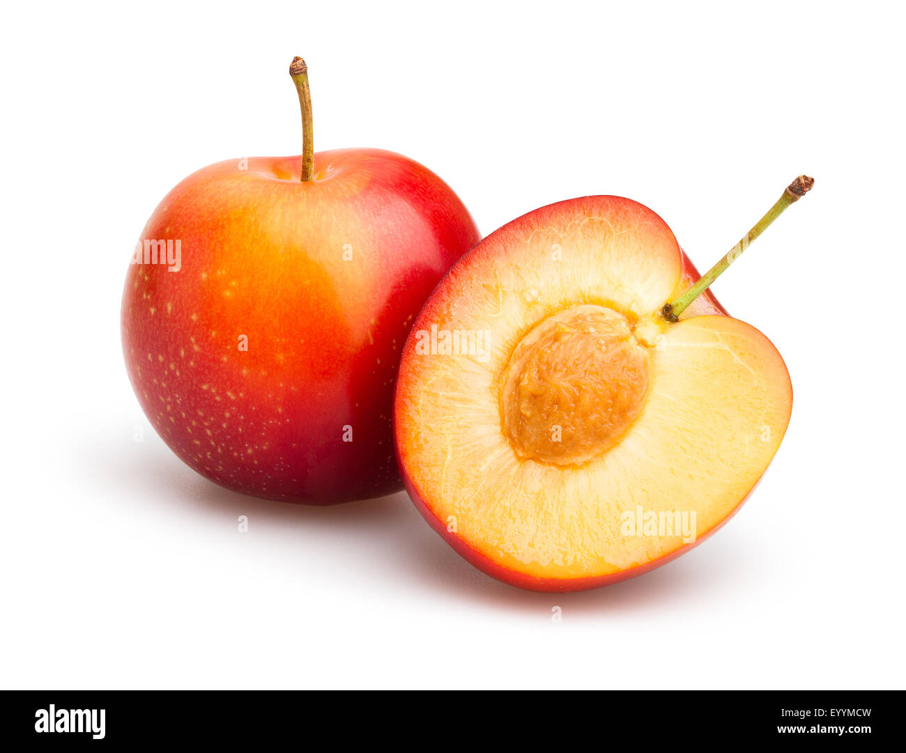 Plum seed hi-res stock photography and images - Alamy