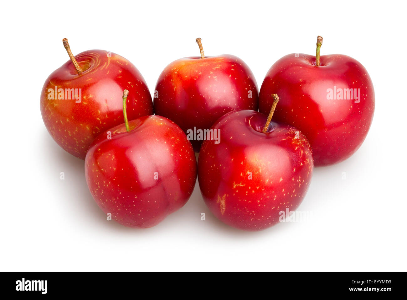 red plum isolated Stock Photo - Alamy